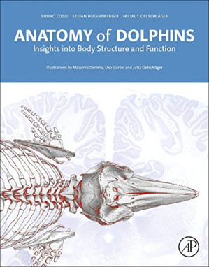 Anatomy of Dolphins. Insights Into Body Structure and Function ...